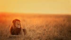 What Is A Contingency Approach Hrzone