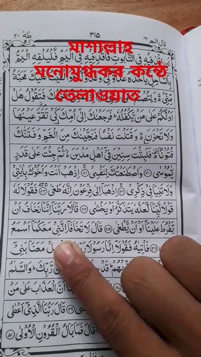 মাশাআল্লাহ হৃদয় জুড়ানো কোরআন তেলাওয়াত Shots Islamic Love Surah