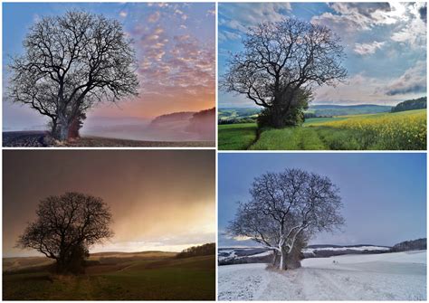 Jahreszeiten Foto And Bild Jahreszeiten Natur Landschaft Bilder Auf