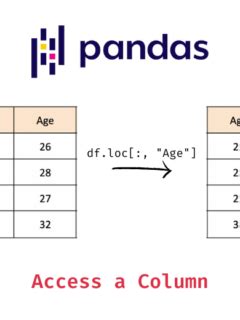 Pandas Get The Nth Column Of A Dataframe Data Science Parichay