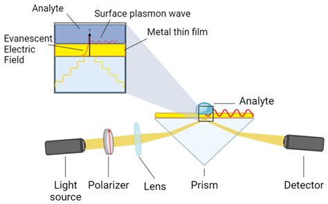 Detailed Modeling Of Surface Plasmon Resonance Spectrometer Response