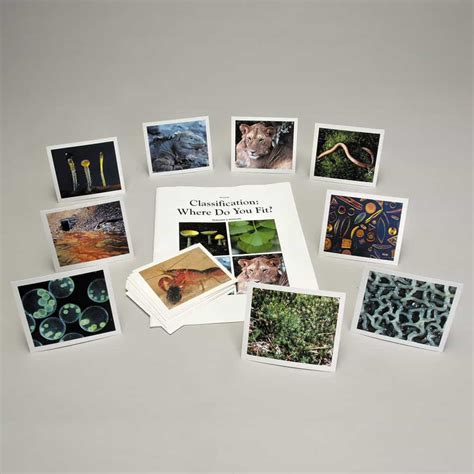 Suncoast Science Fab Lab Classification Kit