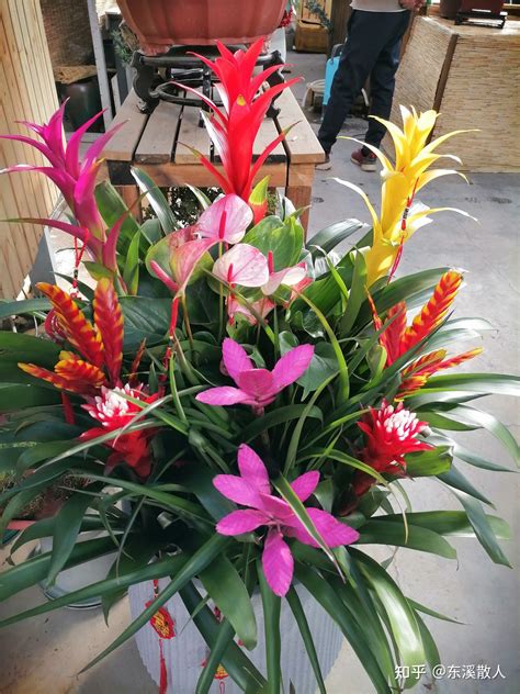 让生活平添一份情趣，北京国际鲜花港 知乎