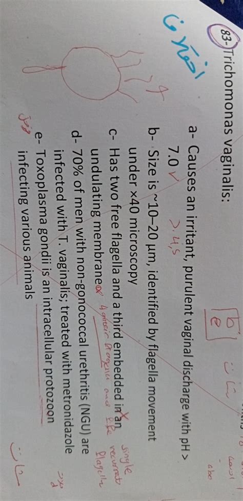 Trichomonas Vaginalis A Causes An Irritant Purulent Vaginal Discharge