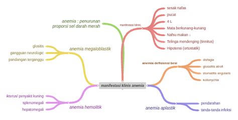 Manifestasi Klinis Anemia Coggle Diagram
