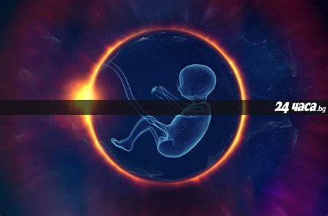 Учени откриха нов механизъм при формирането на човешкия ембрион