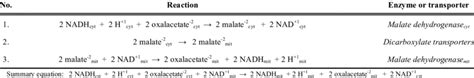 The Reactions Of Malate Shuttle Download Table