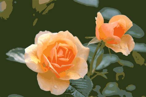 Create New Uiimage From Freehand Drawn Line Over Uiimage Swift Stack Overflow