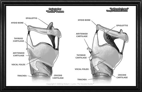 Sing Through Your Vocal Break Musculature For Belting