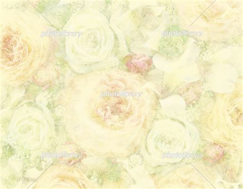 淡黄色の背景に繊細なタッチの花の線描 イラスト素材 7236913 フォトライブラリー Photolibrary