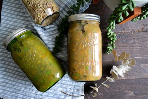 Instant Pot Lentil Stew Earthly Provisions