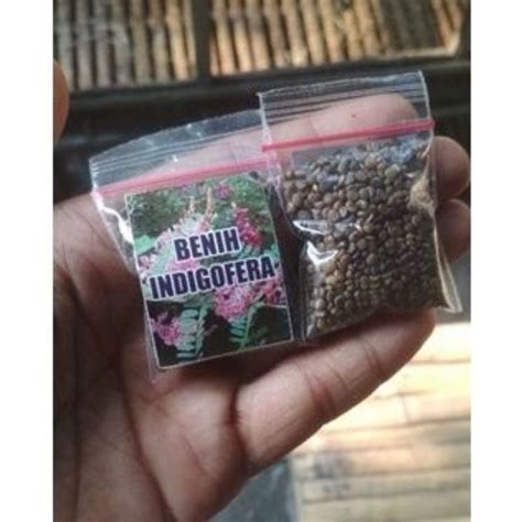 Jual Biji Benih Indigofera Super Pakan Ternak 2000 Biji Shopee
