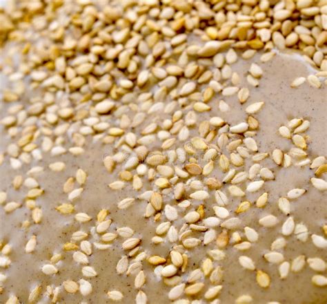 Sesame Seeds And Tahini Syrup Stock Image Image Of Homemade Harvest