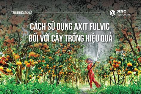 CÁch SỬ DỤng Axit Fulvic ĐỐi VỚi CÂy TrỒng HiỆu QuẢ Dego Agrochem