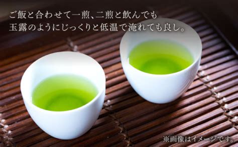 【全12回定期便】天然玉露 そのぎ茶 「あさつゆ」計24袋 約100g×2袋回 茶 お茶 日本茶 茶葉 東彼杵町月香園 Bag011
