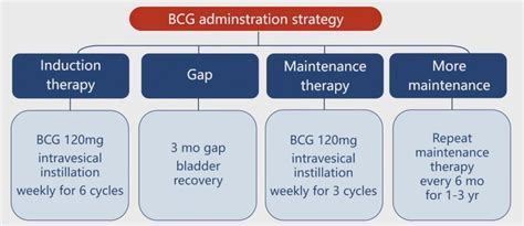 Aua 2023 The Tolerability And Efficacy Of Bcg Administration After