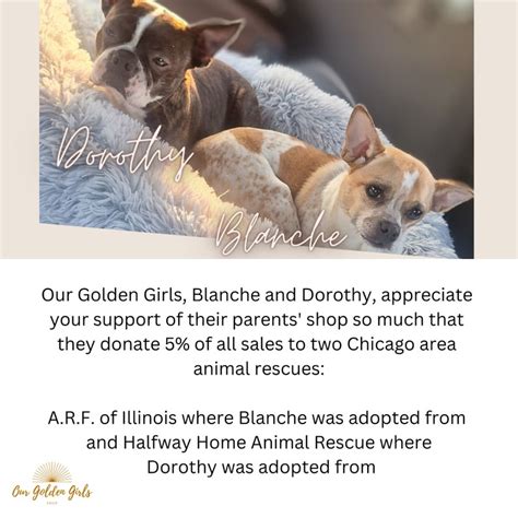 Christmas Boarding Pass Canva Template Editable Trip Reveal Ticket