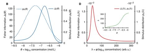 stimulus reference frame and neural coding precision lubomir kostal