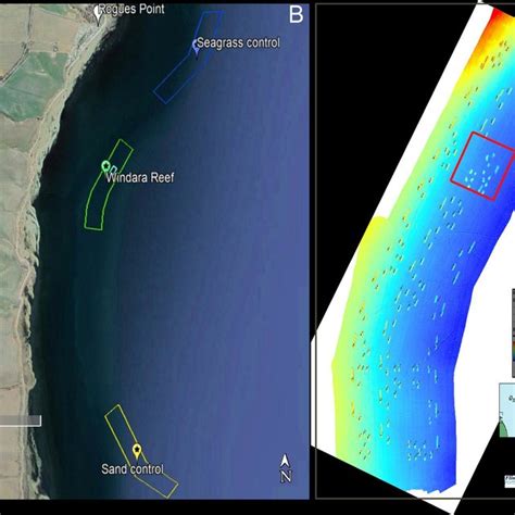Windara Reef Construction And Monitoring Overview Download Scientific Diagram