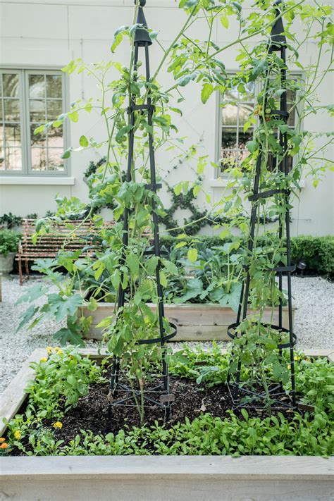 Obelisk Trellis Ideas For The Vegetable Garden • Gardenary