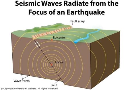 Seismic Waves Diagram Quizlet