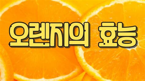 오렌지의 다양한 시제품 건강한 인기 과일 Youtube