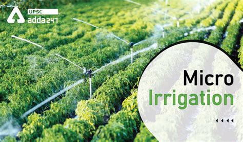 Micro Irrigation System Definition Types Advantages Disadvantages