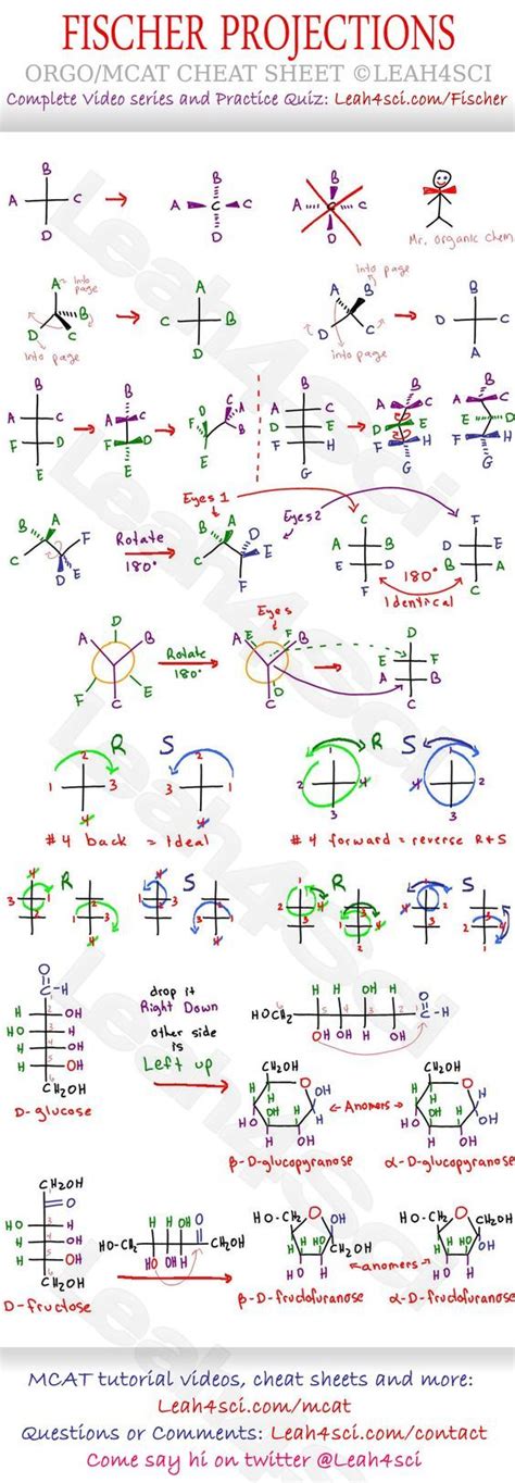 Fischer Projections Cheat Sheet Study Guide Draw And Recognize