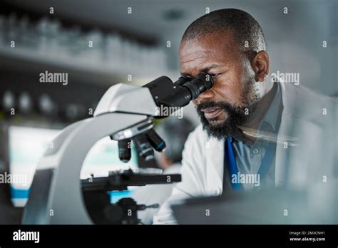 Black Man Scientist Microscope And Lab Analysis In Biodiversity Study Vision And Research Data