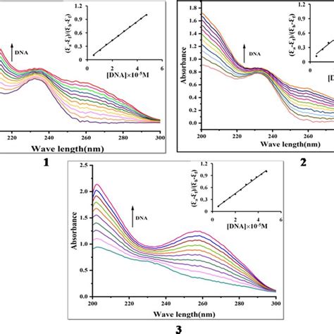 The Graphs Of Log F0 − F F Versus Log[complex] For Binding Of 1 3