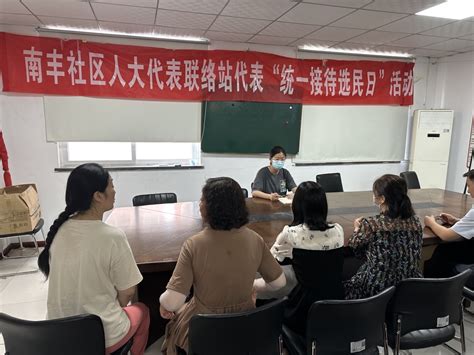 听民意 聚民情——南丰社区开展人大代表接待选民活动 大河新闻