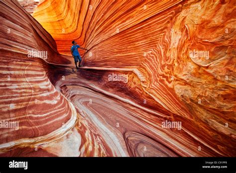 Hiker In Slot Canyon The Wave Coyote Buttes Vermilion Cliffs