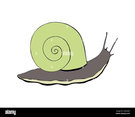 Snail Contour Doodling Hand Drawing Black Silhouette Isolated White