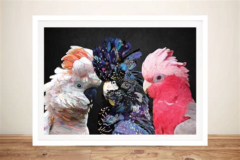 Buy Karin Roberts Dance Cocky Print On Canvas Framed Wall Art Cairns