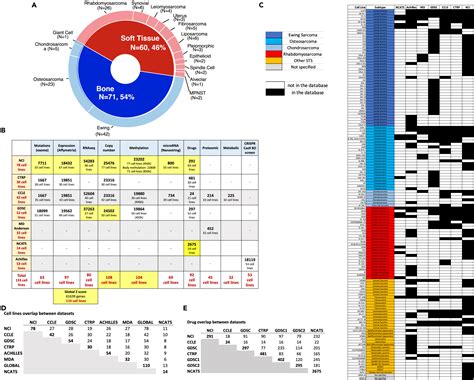 Sarcoma Cellminercdb A Tool To Interrogate The Genomic And Functional Characteristics Of A