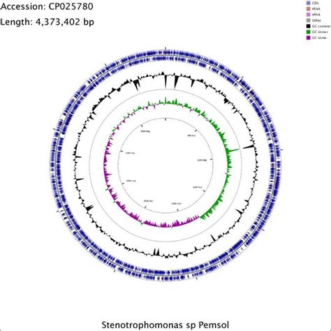 The Gc Msms Analysis Spectrum Of The Test Experiment After The 30 Th