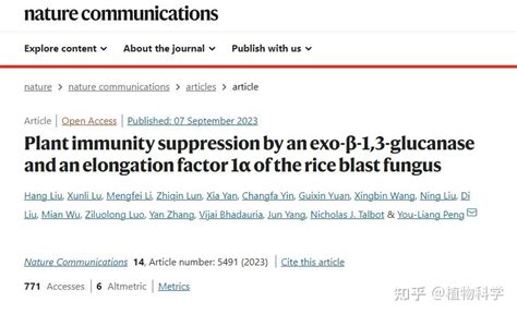 Nature Communications 中国农业大学植物保护学院彭友良教授团队揭示稻瘟菌逃避寄主植物基础免疫的新机制 知乎