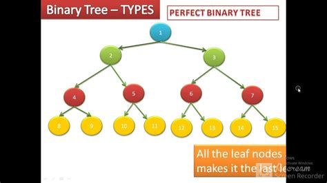 Java Data Structures Binary Tree Perfect Binary Tree Youtube