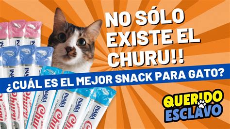 Gatos Y Churu ¿cuál Es El Mejor Snack Cremoso Para Tu Gato