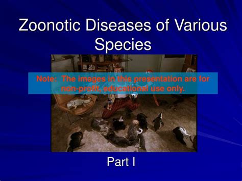 Ppt Zoonotic Diseases Of Various Species Powerpoint Presentation
