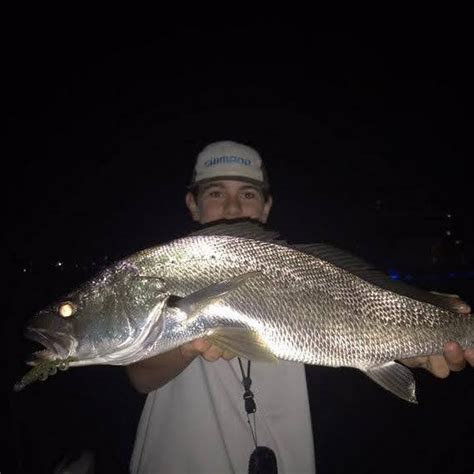 Ben Massurit Youtube