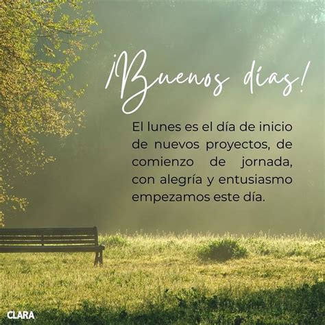 ¡feliz Lunes Frases Motivadoras Para Empezar La Semana Con Ganas