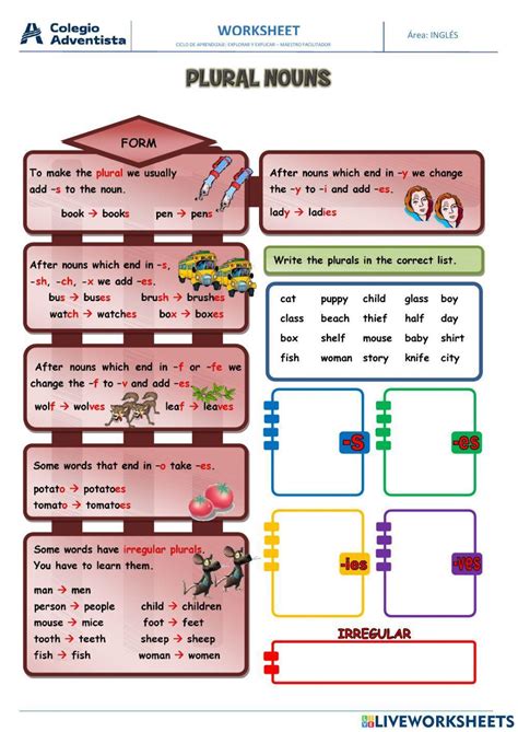 Nouns Nominative And Objective Case Worksheet Live 42 Off