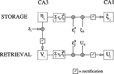 A Block Diagram Illustrating The Relationships Between The Variables Download Scientific