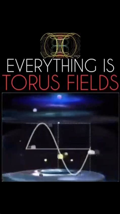THE TORUS FIELD Our And Mother GAIA S One News Page VIDEO