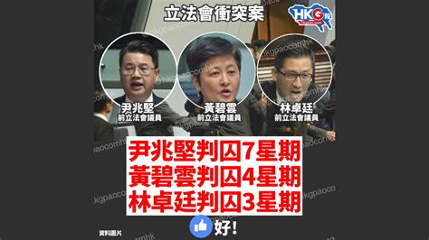 涉違立會《特權法》 妨礙議員等罪 林卓廷將認罪 還押至1213答辯
