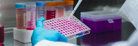 Trf Assay Performance Of The Envision Nexus Multimode Plate Reader