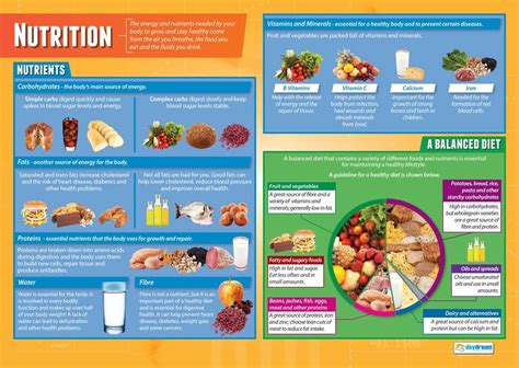 Nutrition Poster Food Science Poster Gym And Fitness Poster Nutrition Poster Physical