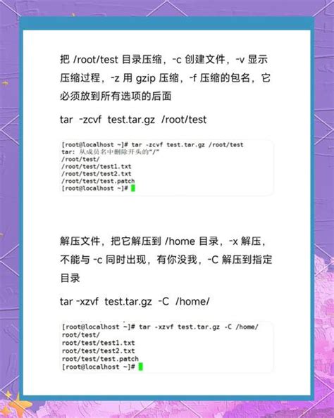 Linux系统下7z文件解压技巧：安装p7zip及常用解压方法详解 Linux命令大全手册