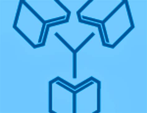 Divide And Conquer Sorting And Searching And Randomized Algorithms